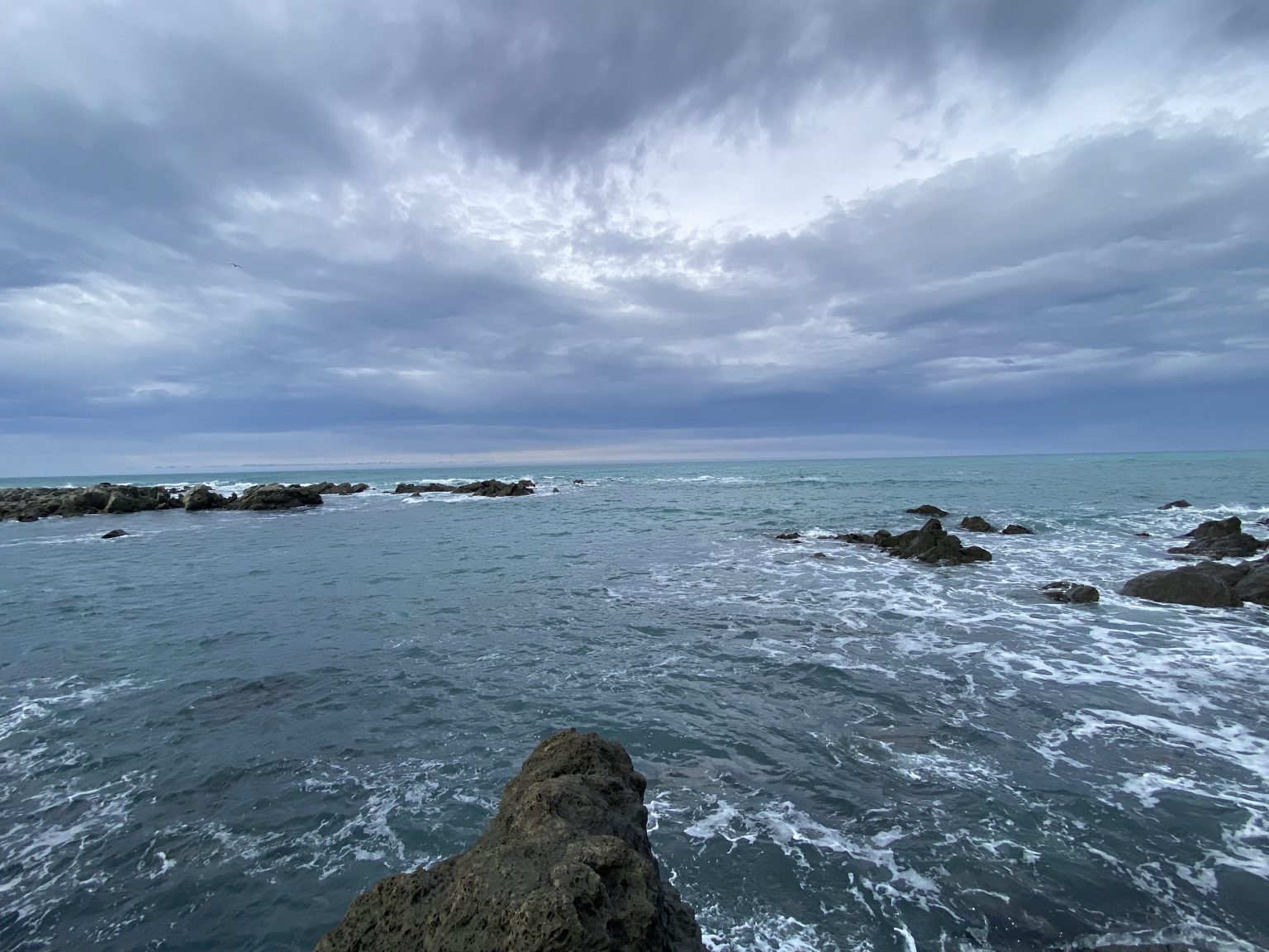 Museology Immersion for Ocean Literacy - HITLabNZ