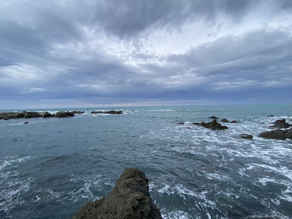 Museology Immersion for Ocean Literacy - HITLabNZ